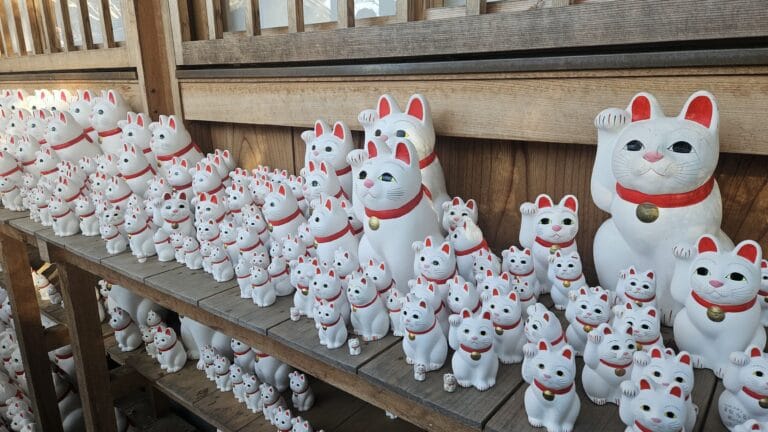 The Fascinating Cat Temple of Japan: Gotokuji Temple